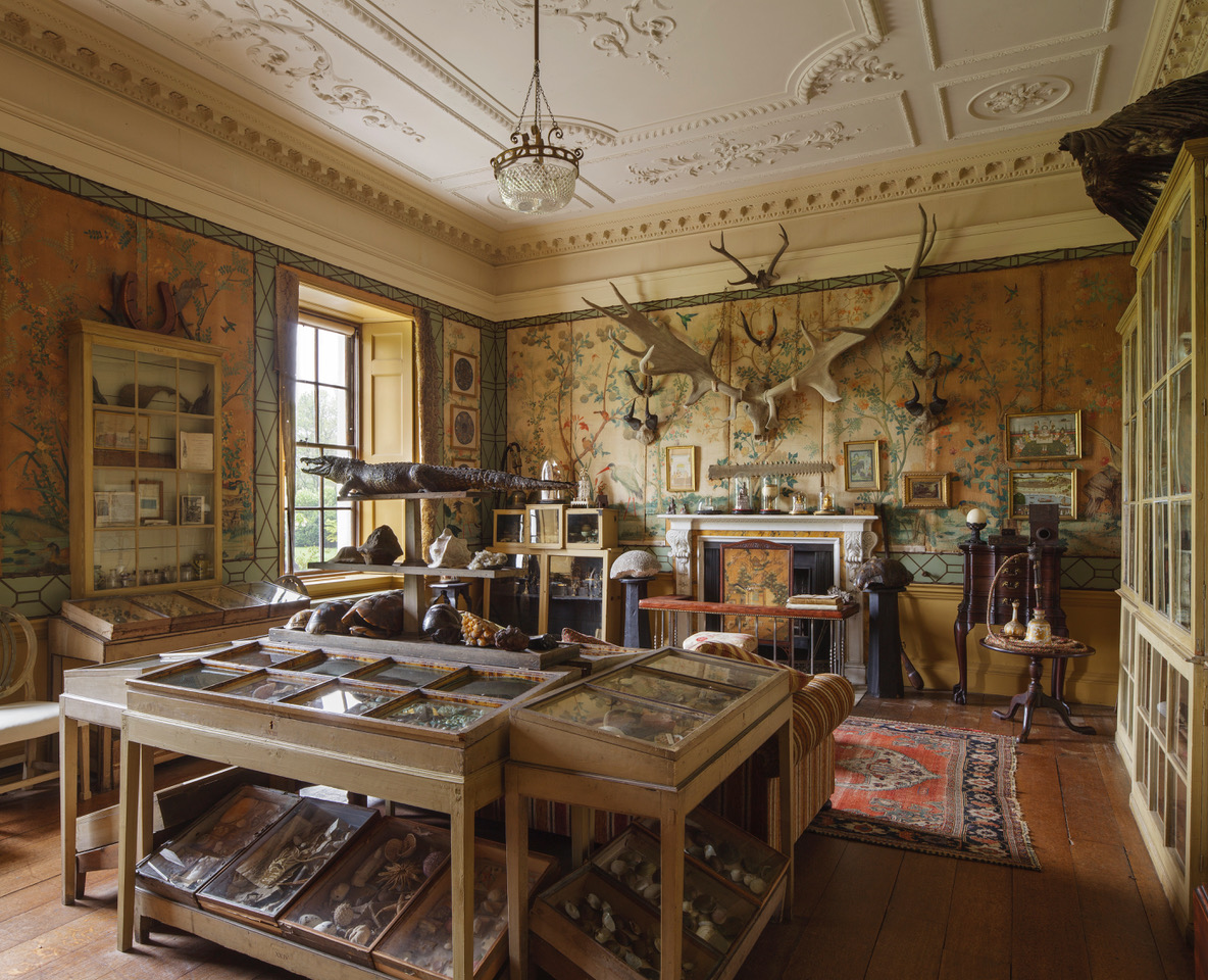 Tim Knox - Strawberry Hill House & Garden